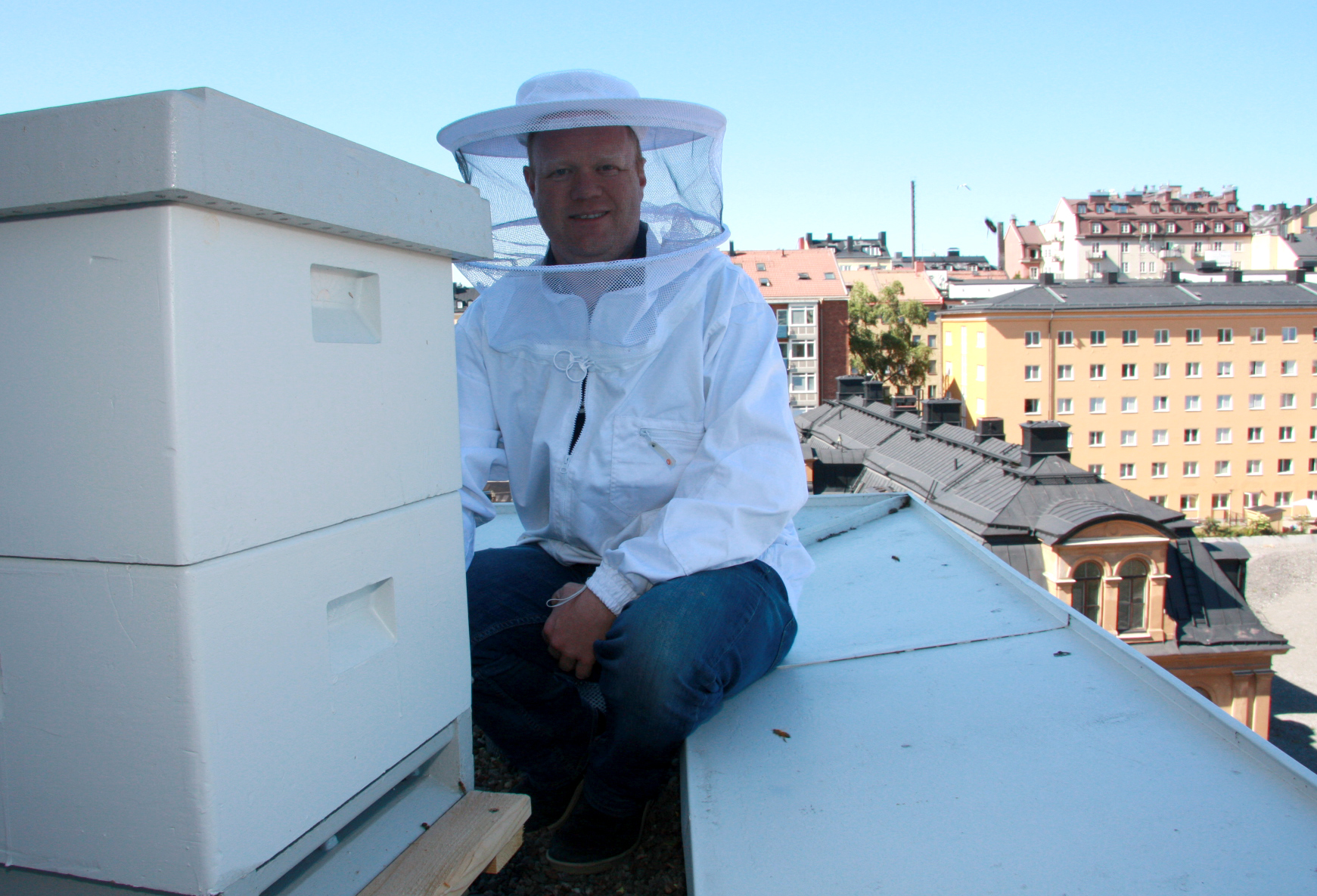 Bees on the roof at HQ - Soya group